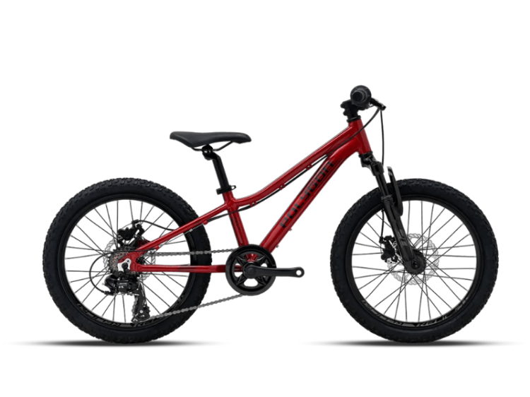 אופני פוליגון בצבעים לילדים Polygon Relic 20 - SuperTOY סופרטוי